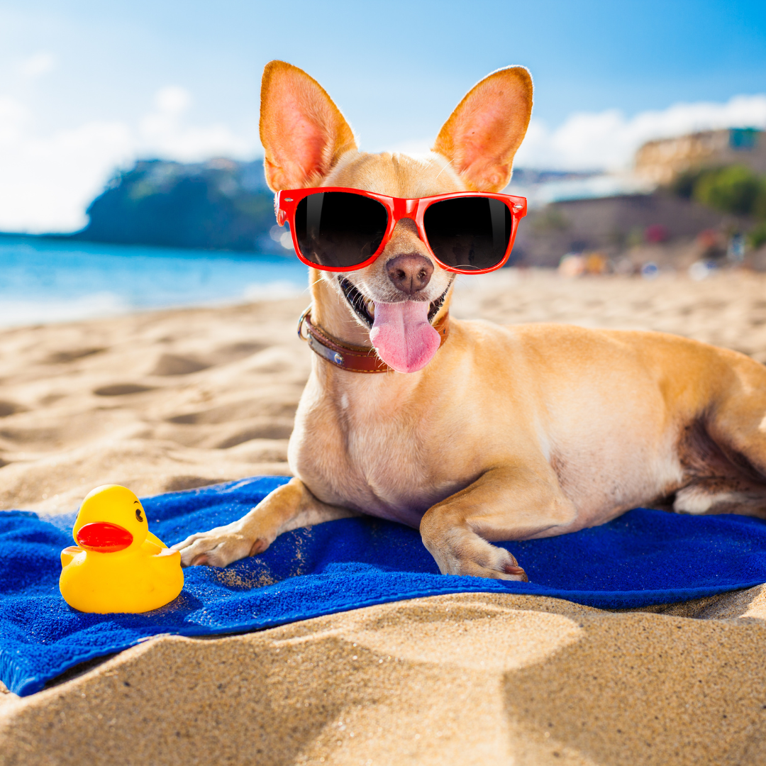 Feng Shui Summer Fun & Inspiration by Lois Kramer-Perez, C.Ht. - Lois ...